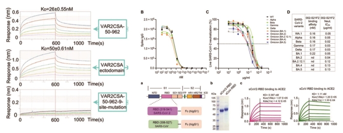 蛋白质相互作用工作站(Octet RED 96) - 杭州铂赛生物科技有限公司