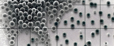 杭州铂赛生物科技有限公司