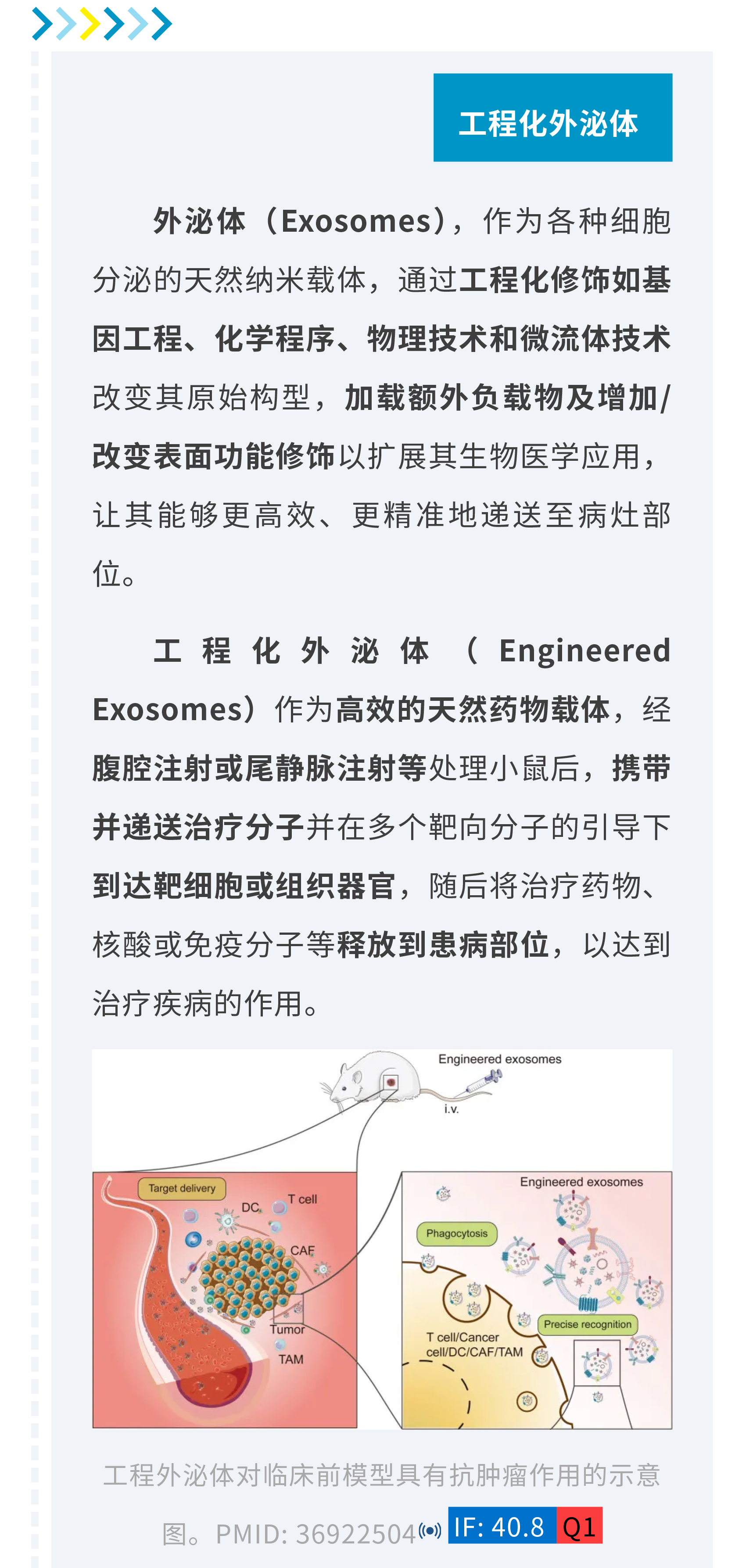 工程化外泌体，给外泌体负载装备，在研究基础上“+”亿点创新！ - 杭州铂赛生物科技公司